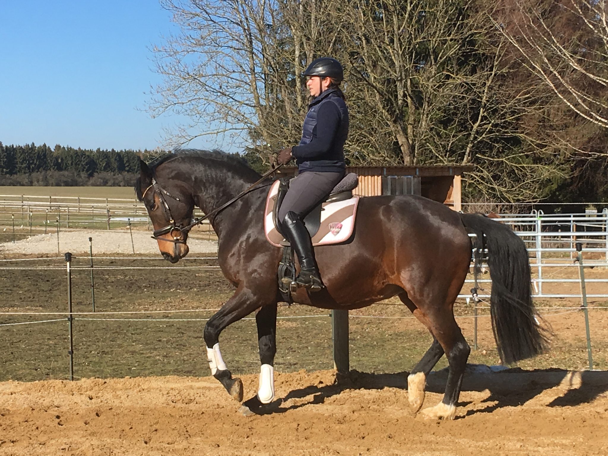 Freie Reitplätze - Reitschule Nessi Reichert